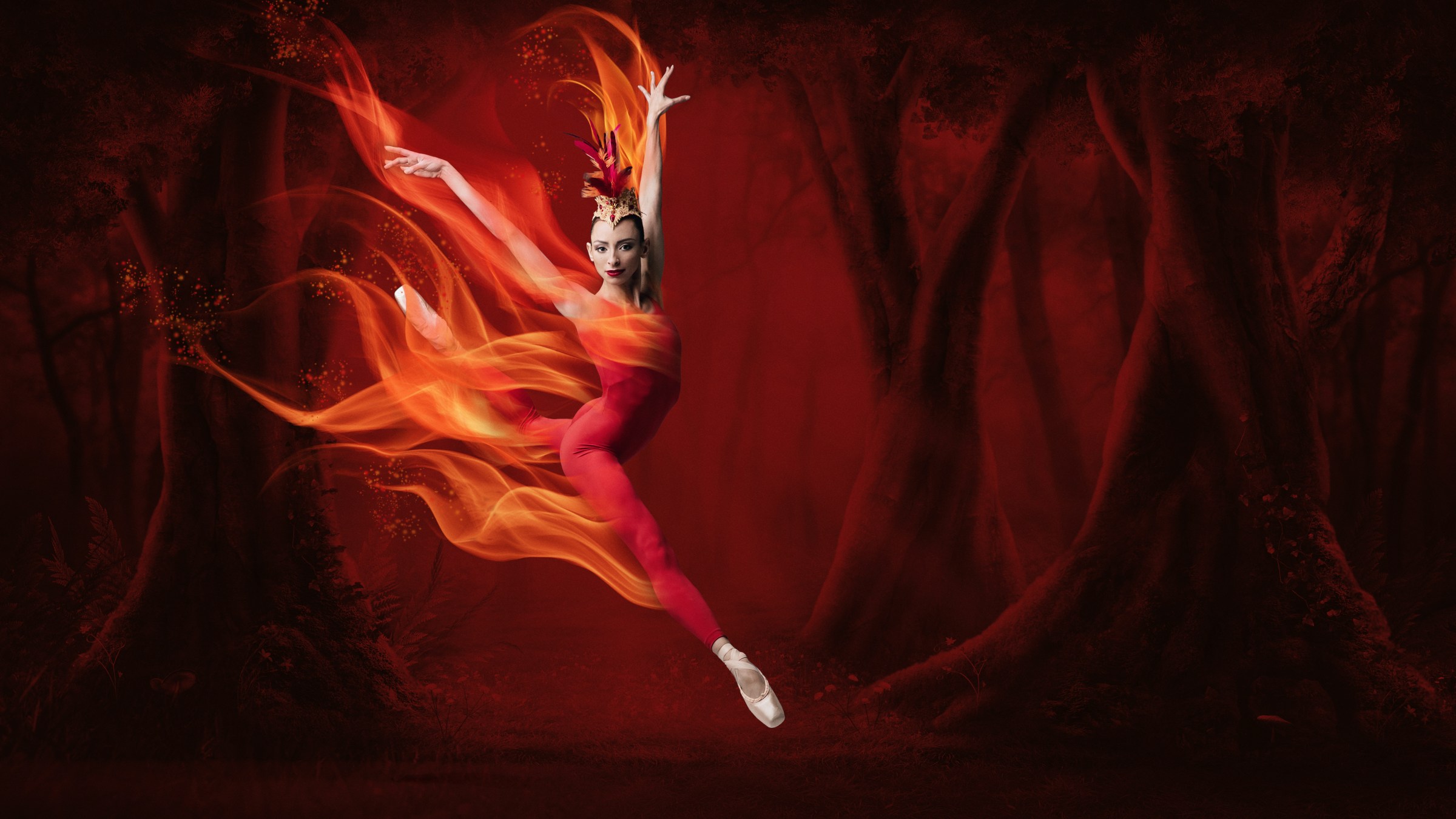 FIREBIRD in Florida – BLOG ABOUT BALLET AND DANCE